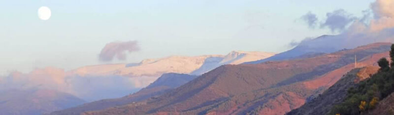 Hibbits Us – Hibbits Us Tours & Projects