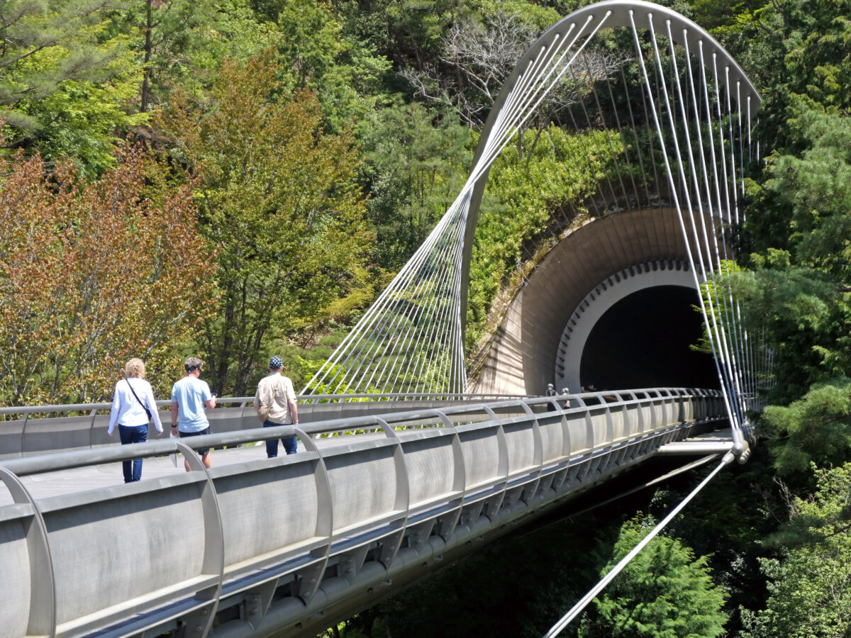 Hibbits Us – Hibbits Us Tours & Projects